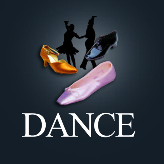 Tyndell PS-108 Dance Memory Mate - Tyndell Photographic: Your leader in ...