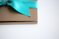 Antique Gold Portrait Case - Portrait Delivery - Tyndell Photographic